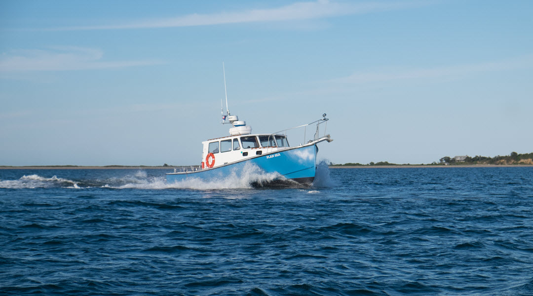 Turn To Us To Explore Cuttyhunk On The Sea Under Budget